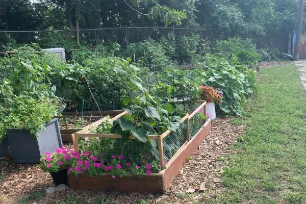 Garden of Wonder - Help enchant the our community garden with humor and ...